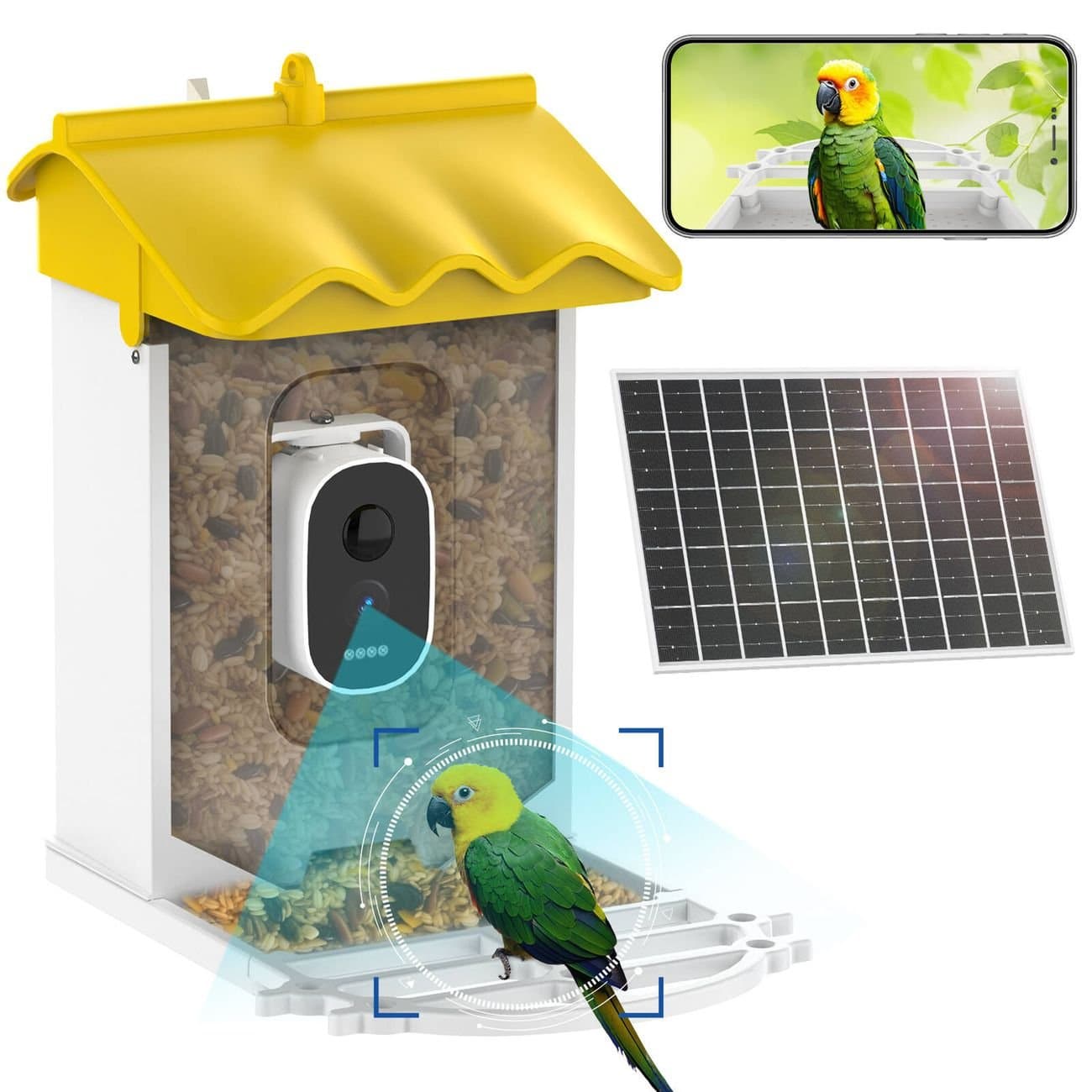 Best 5 Bird Feeder Cameras: Smart Birdwatching Made Easy