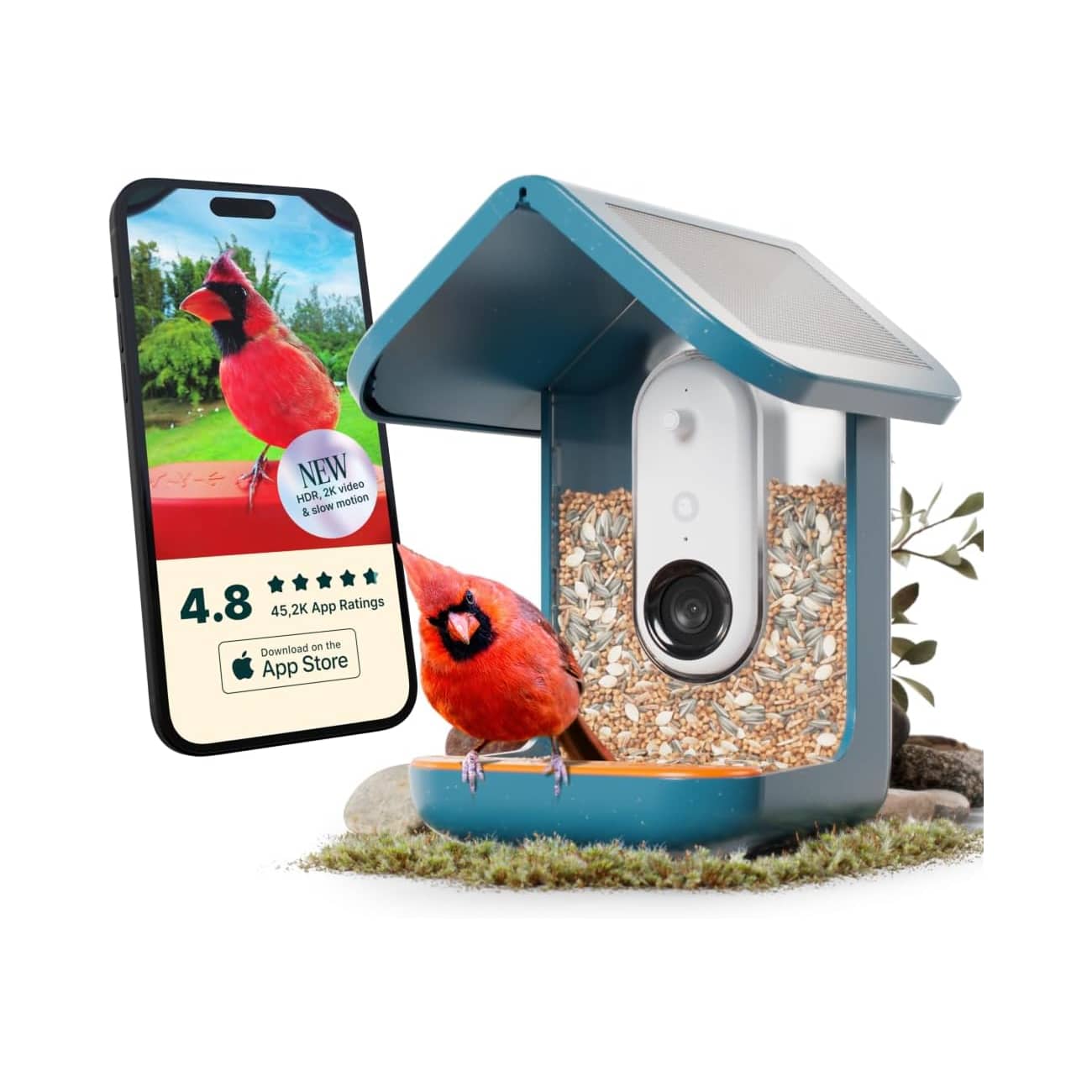 Best 5 Bird Feeder Cameras: Smart Birdwatching Made Easy