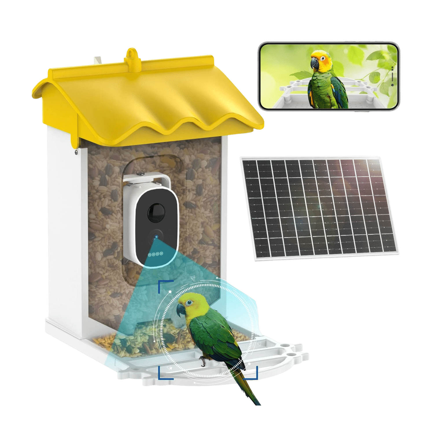 Best 5 Bird Feeder Cameras: Smart Birdwatching Made Easy