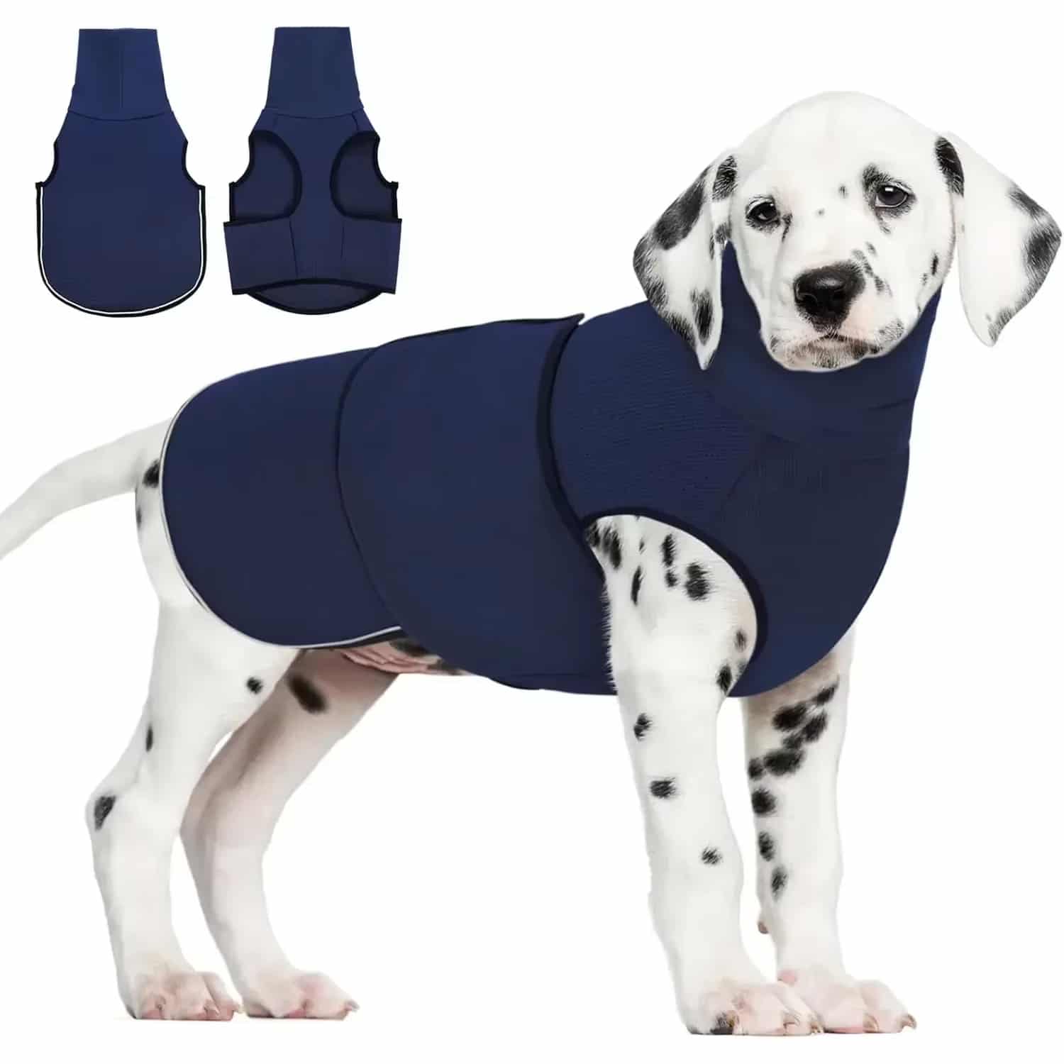 5 Best Dog Calming Vests of 2025: Expert Reviews & Buying Guide
