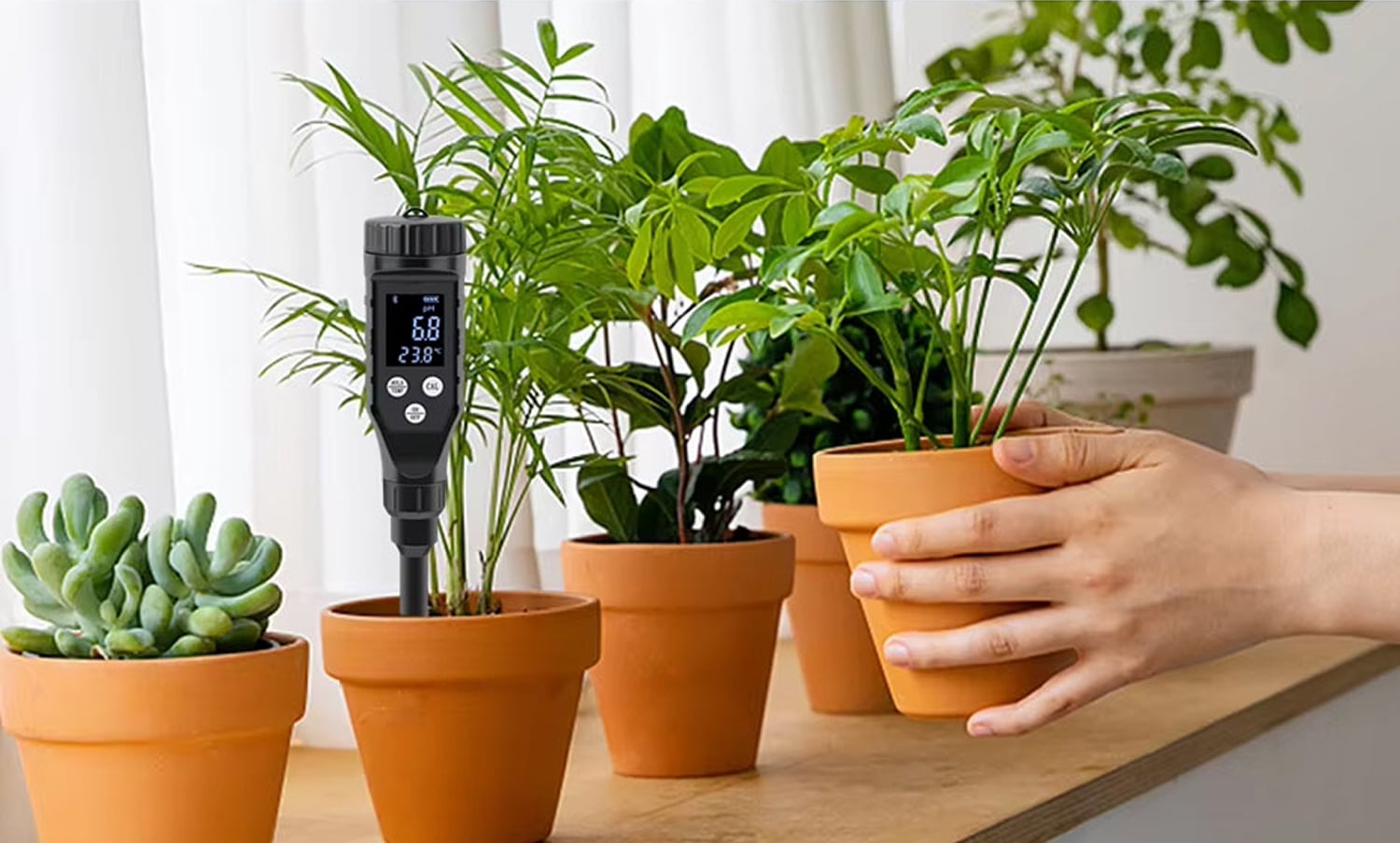 Best 5 Soil Moisture Meters of 2026: Transform Your Garden with ...